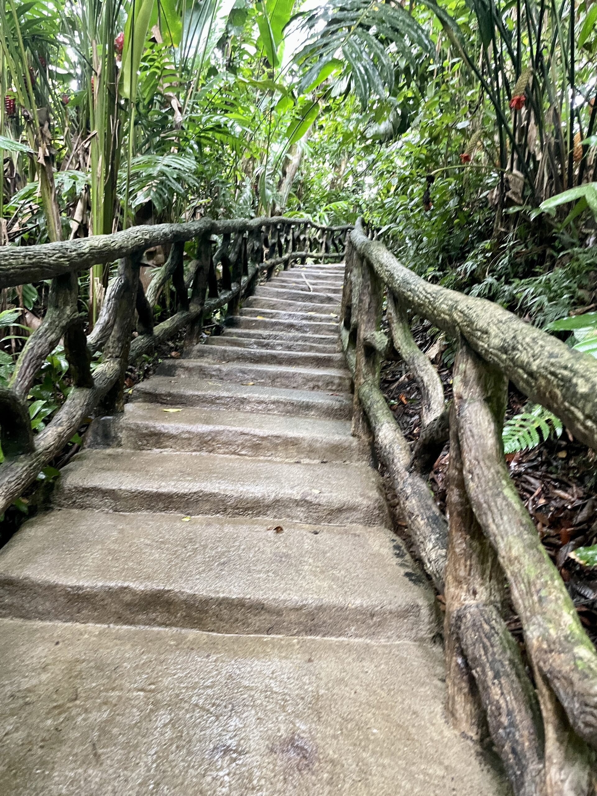 Home page - Love At First Flight