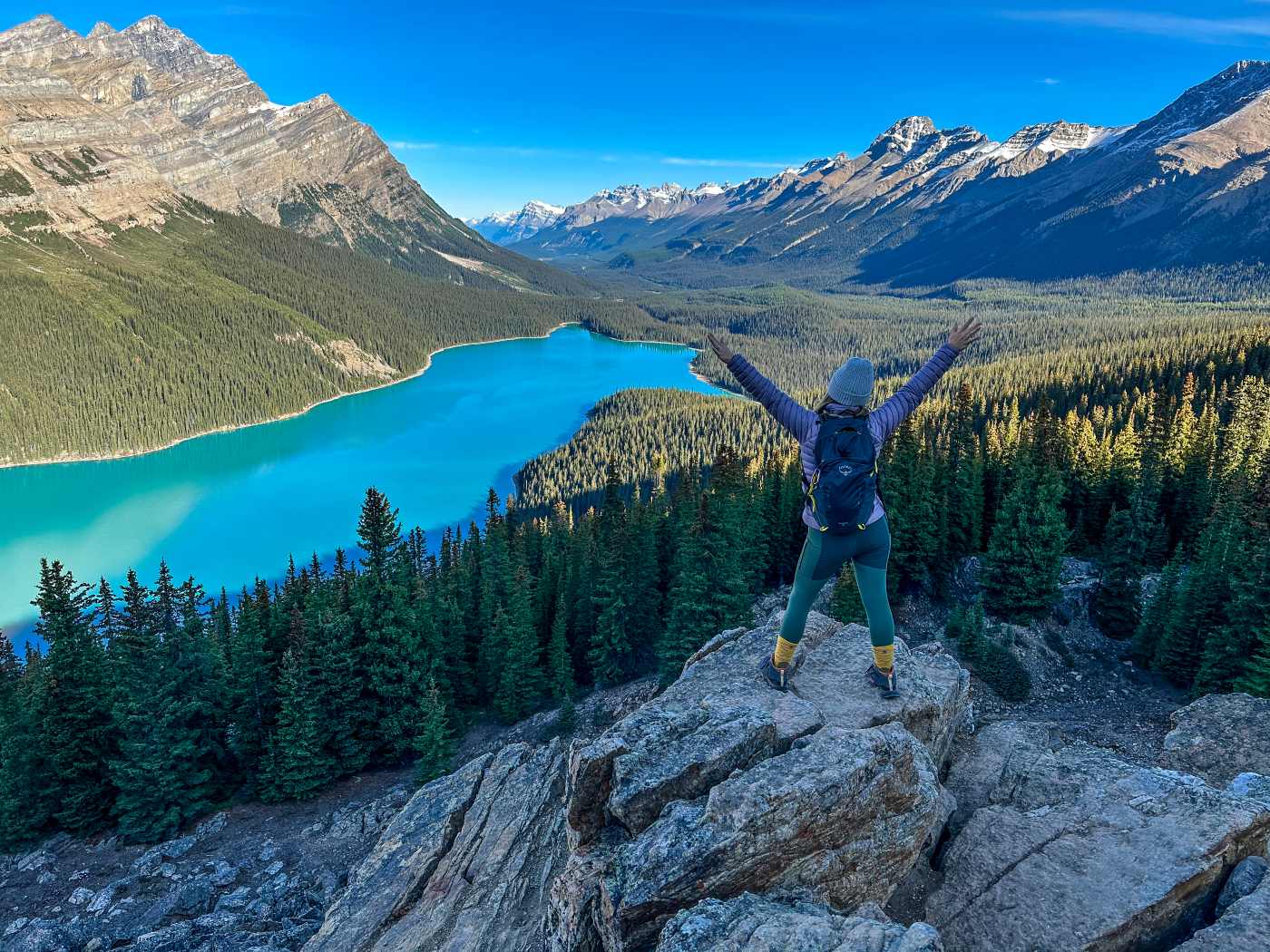 The Ultimate Guide to Hiking to Peyto Lake: Canada’s Wolf-Shaped Wonder ...